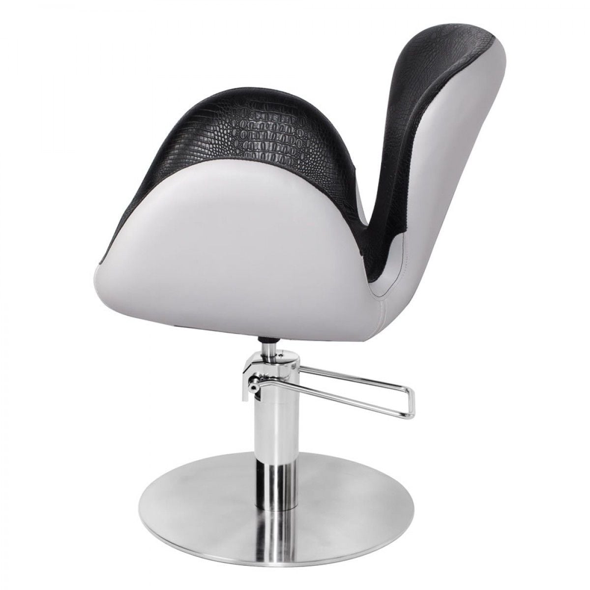 "SWAN" Modern Salon Chair, Modern Salon Equipment, Modern Salon Furniture