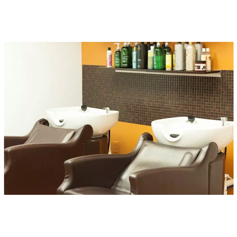 "ISLAND" Chestnut Backwash Shampoo Unit for Sale, Backwash Shampoo ...