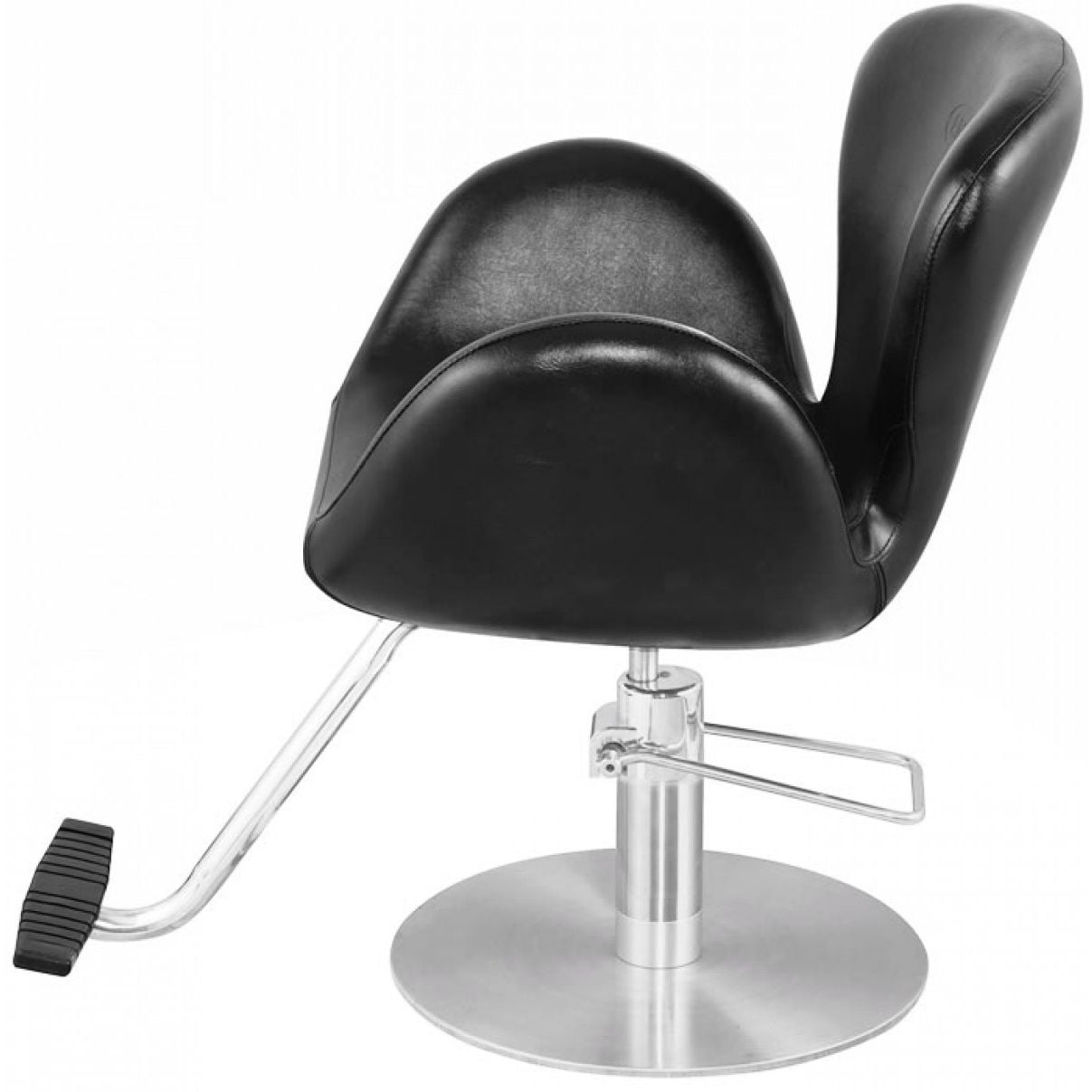 "SWAN" Modern Salon Chair, Modern Salon Equipment, Modern Salon Furniture